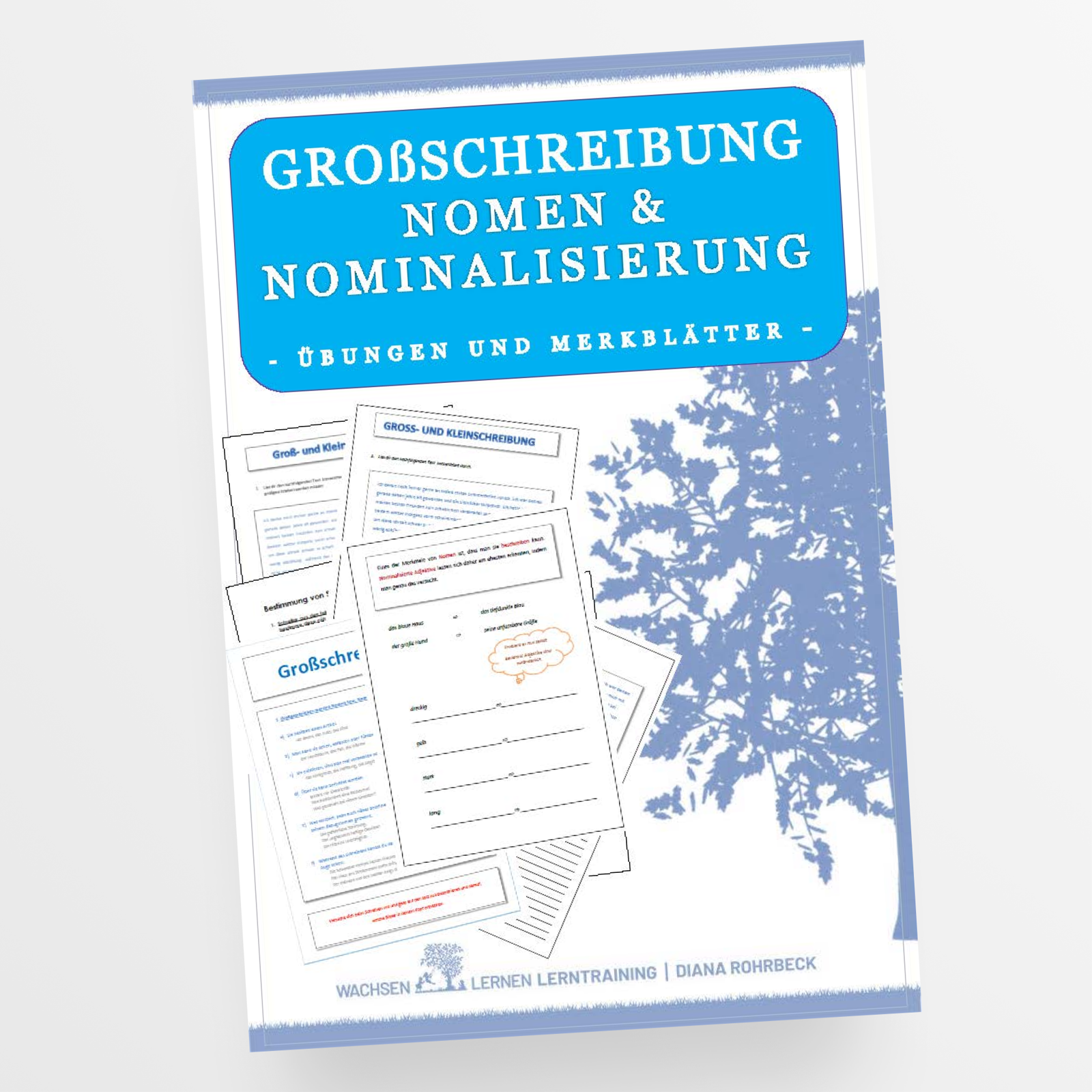 Deutsch Großschreibung: Nomen und Nominalisierung mit Übungen für die ...