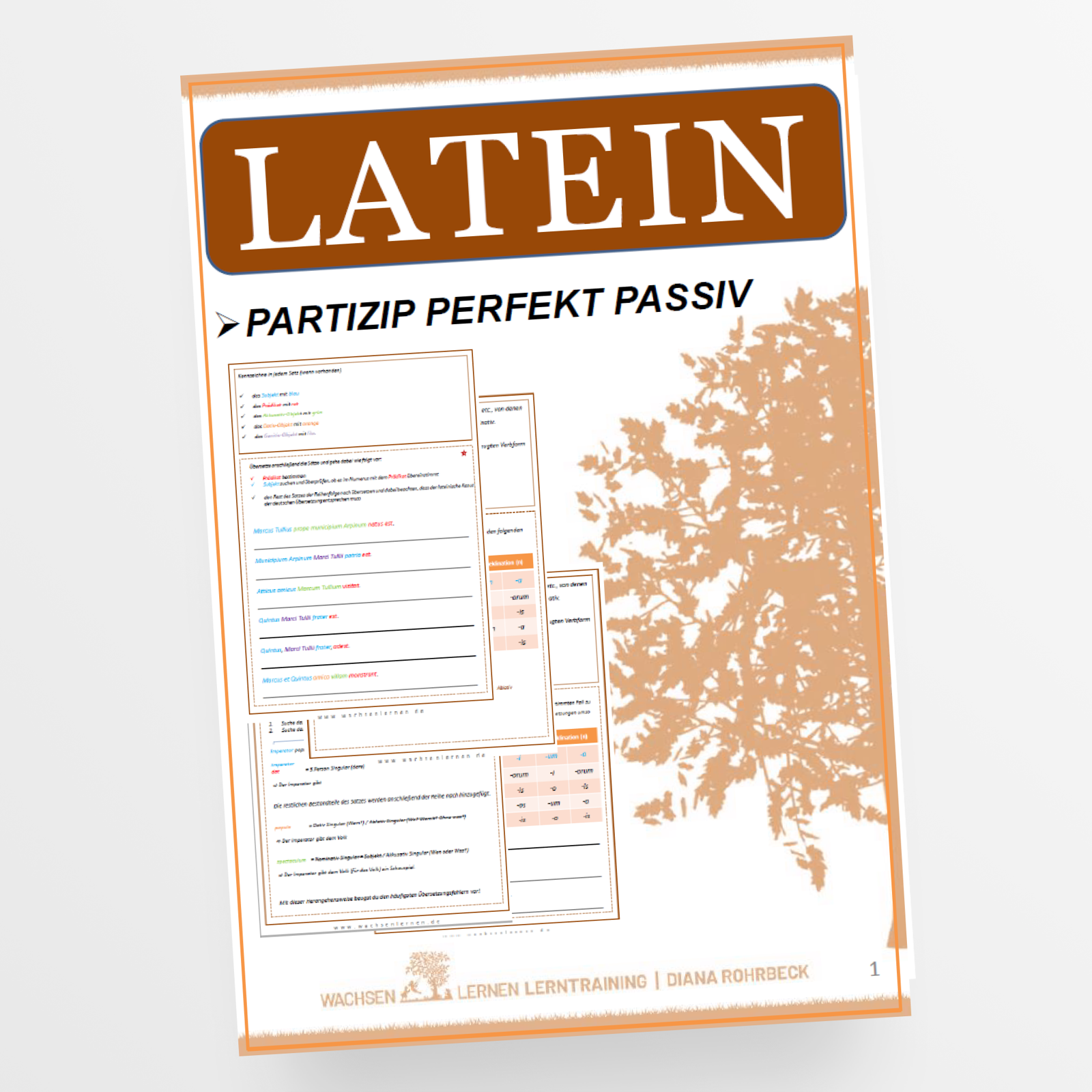 Latein Partizip Perfekt Passiv (PPP) - Arbeitsheft – StudyHelp Lehrmaterial