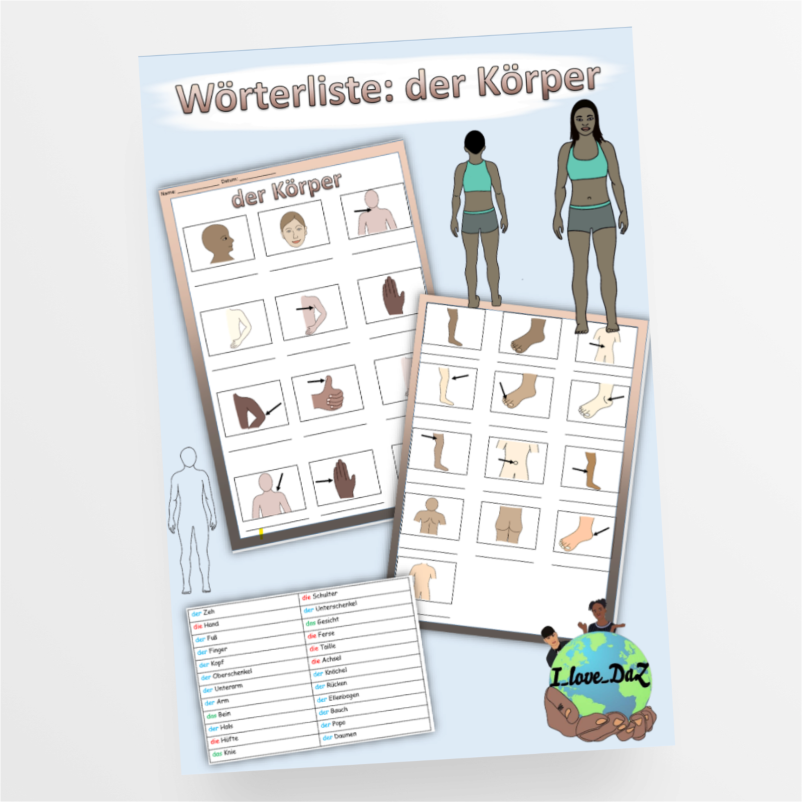 Wörterliste "der Körper" mit Wörtertabelle DaZ – StudyHelp Lehrmaterial